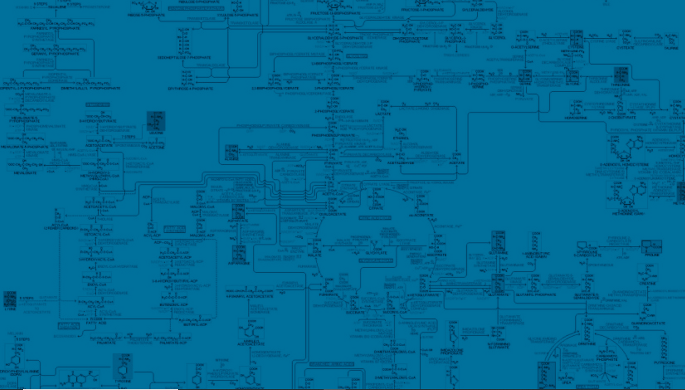 Law Office of Andrew L. Gradman