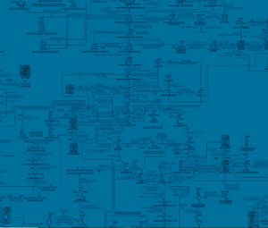 Law Office of Andrew L. Gradman
